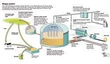 BIOGAS Purification & ﻿Green Energy Initiatives
